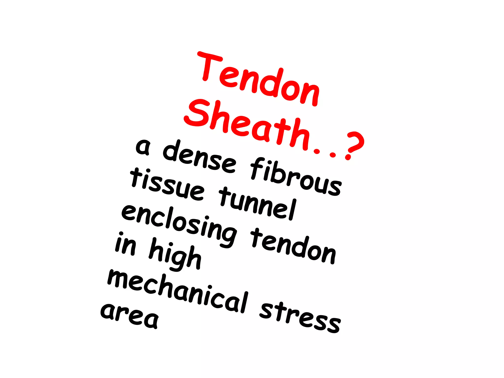Tendon injuries of hand by Dr Saumya Agarwal | PPTX