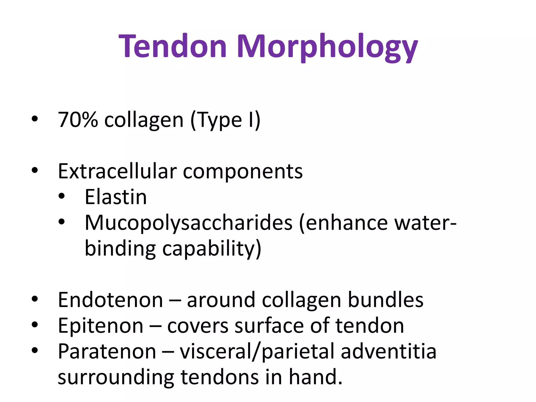 Tendon injuries of hand by Dr Saumya Agarwal | PPTX
