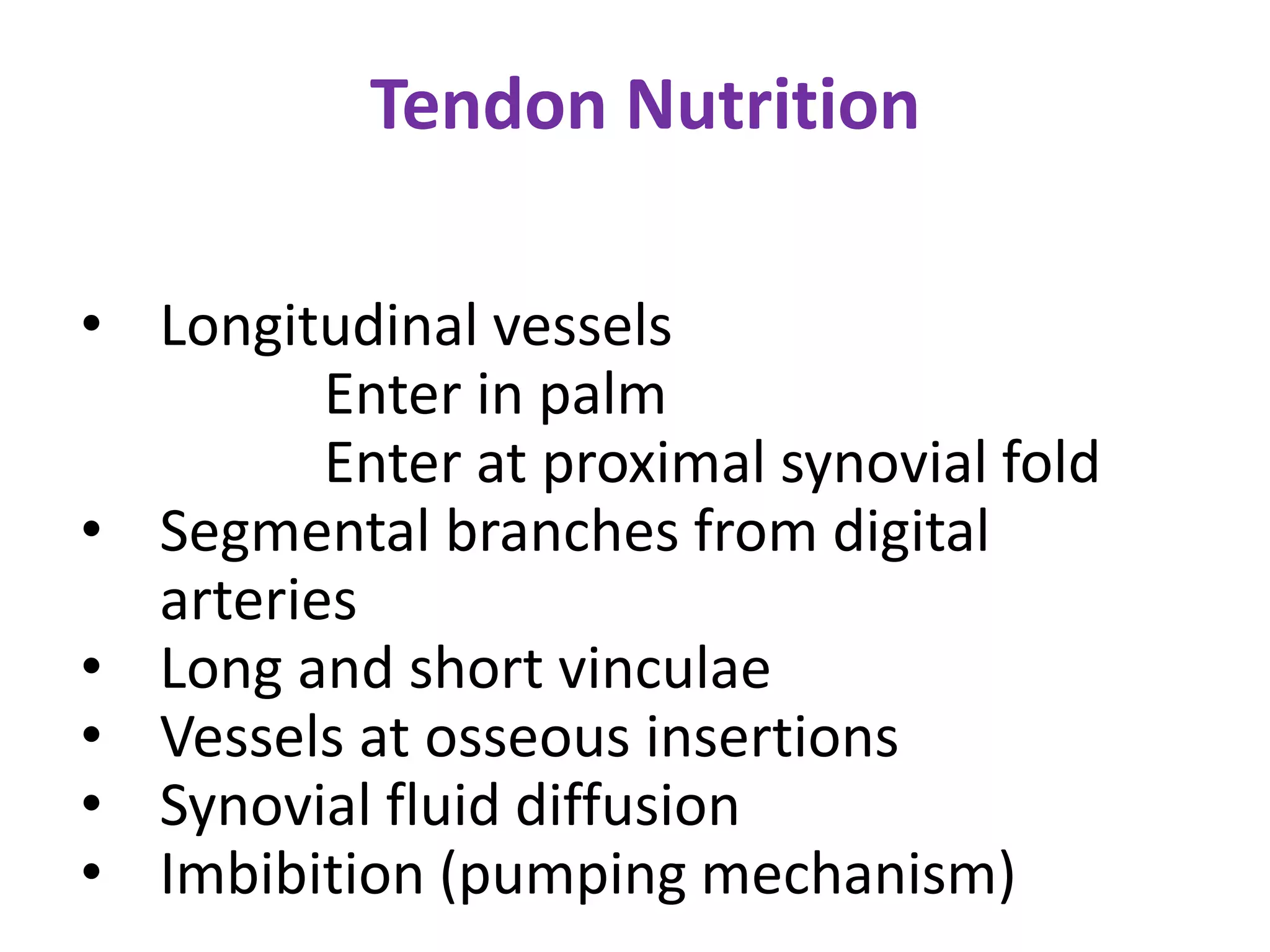 Tendon injuries of hand by Dr Saumya Agarwal | PPTX