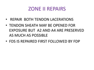 Tendon injuries of hand by Dr Saumya Agarwal | PPTX