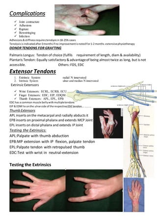 Tendon injury by dr yash | PDF