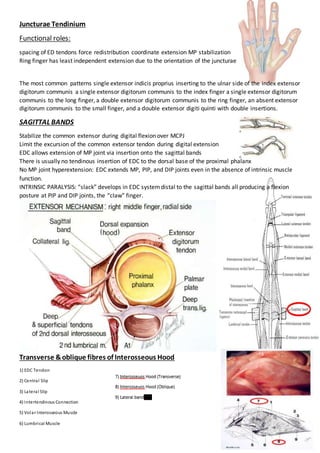 Tendon injury by dr yash | PDF