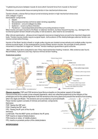 Tendon injury by dr yash | PDF