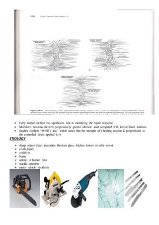 Tendon injury by dr yash | PDF