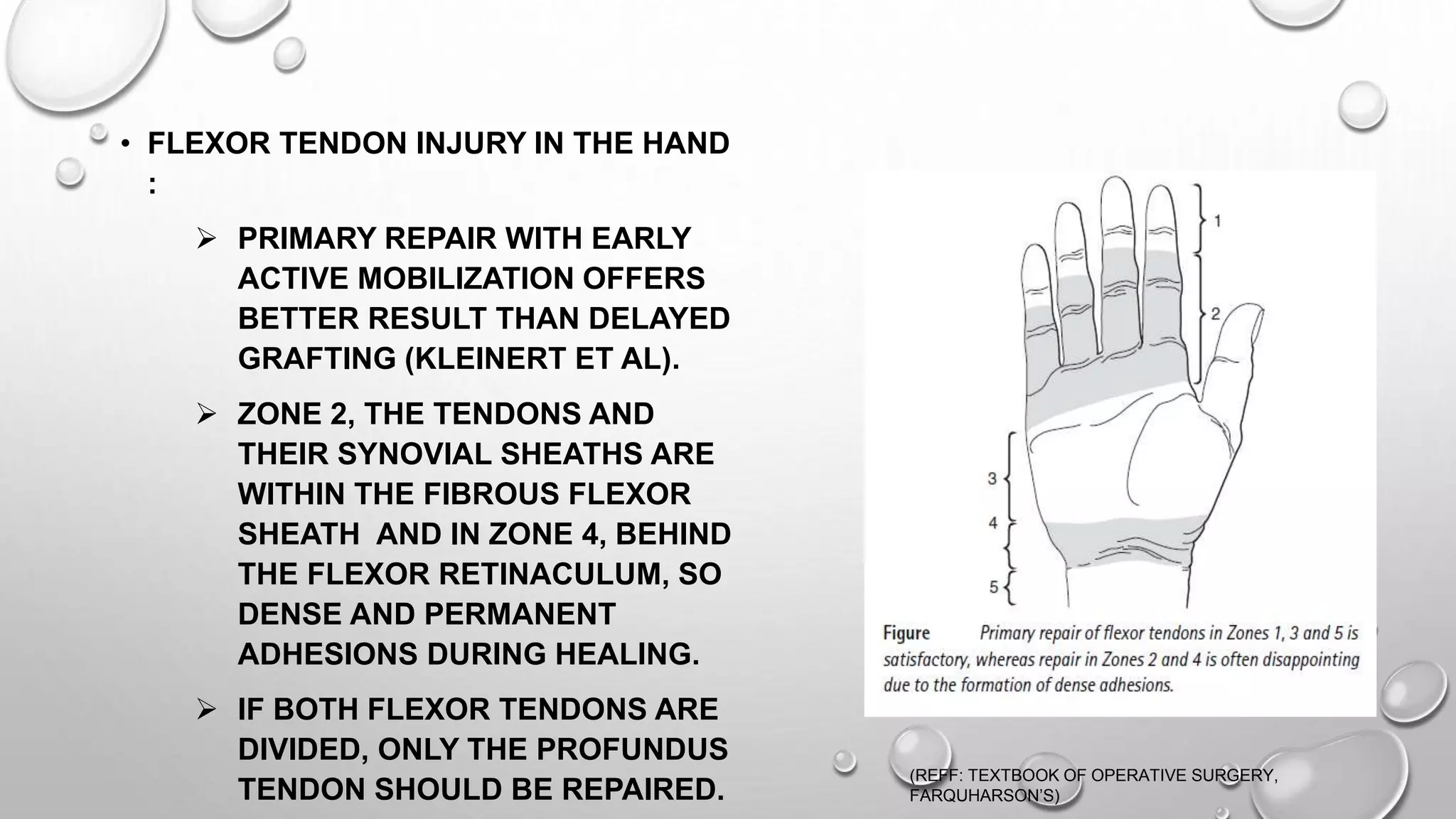 Tendon injury and repair | PPTX