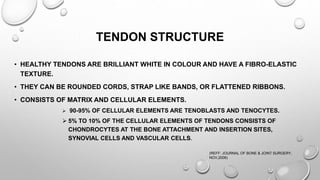 Tendon injury and repair | PPTX