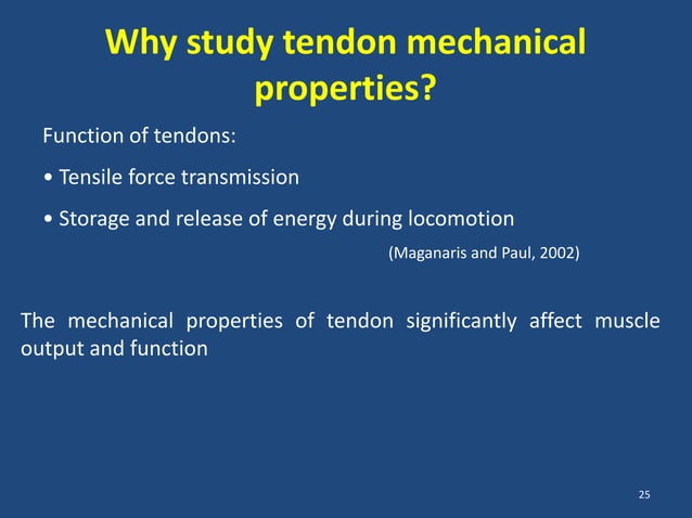 Tendon Mechanics Lecture | PPTX | Geology | Science