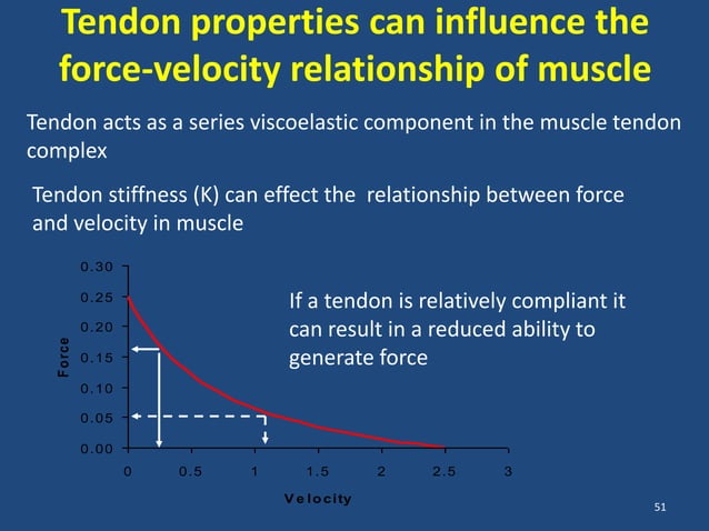 Tendon Mechanics Lecture | PPTX | Geology | Science