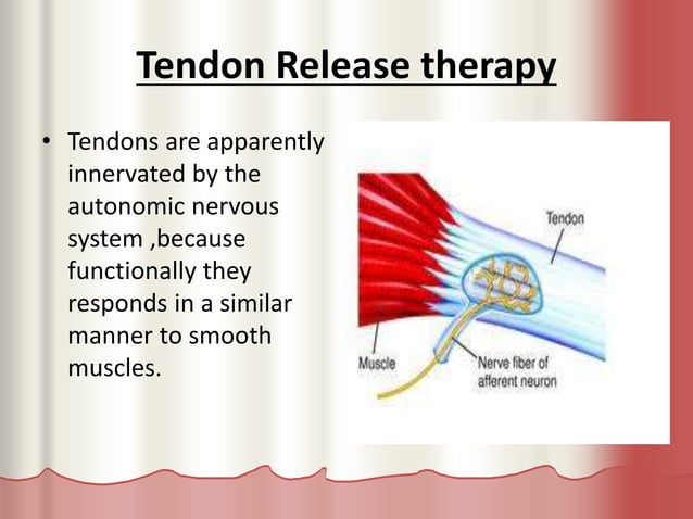 tendon release therapy(1).pptx