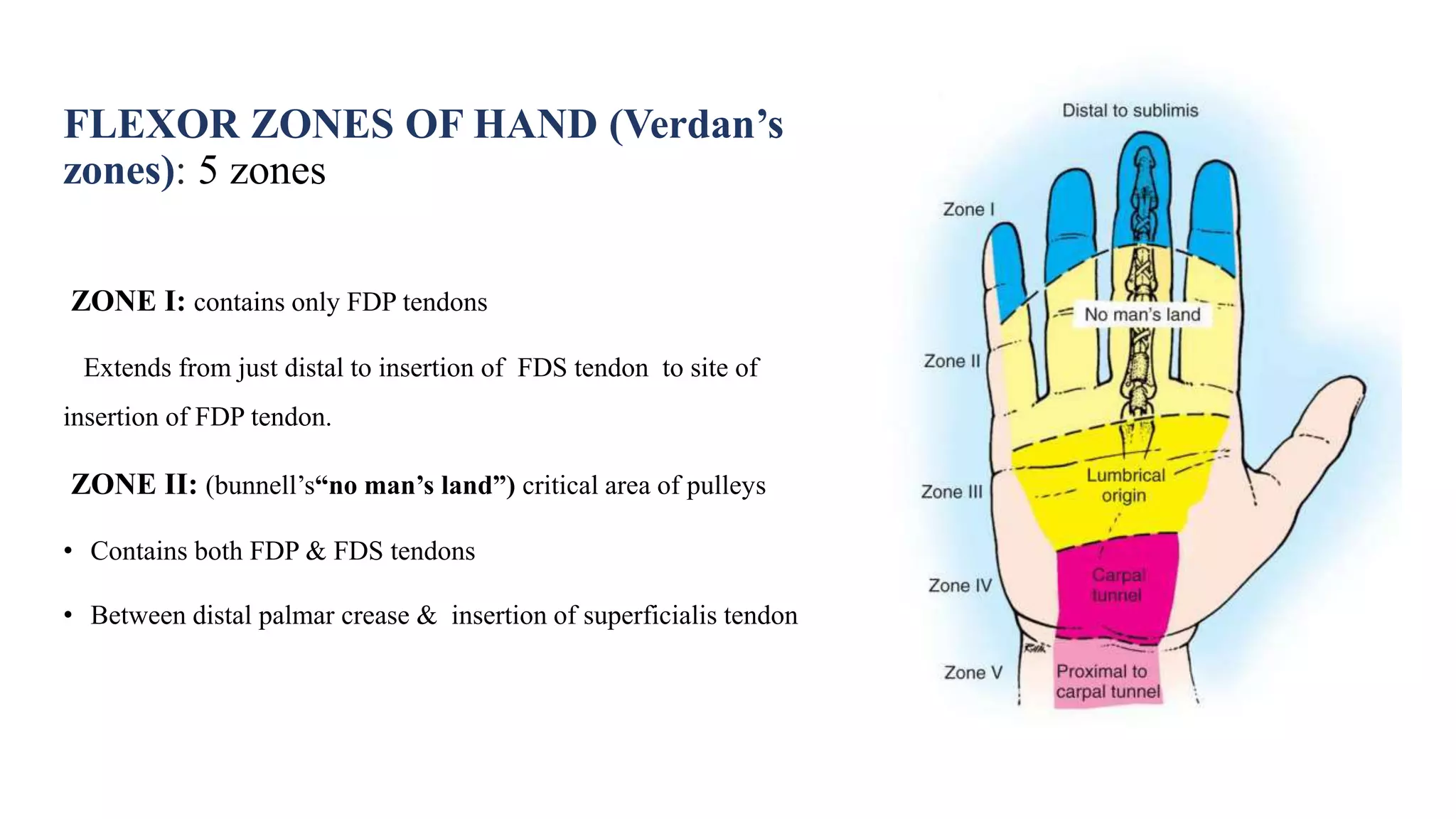 Tendon repair | PPTX