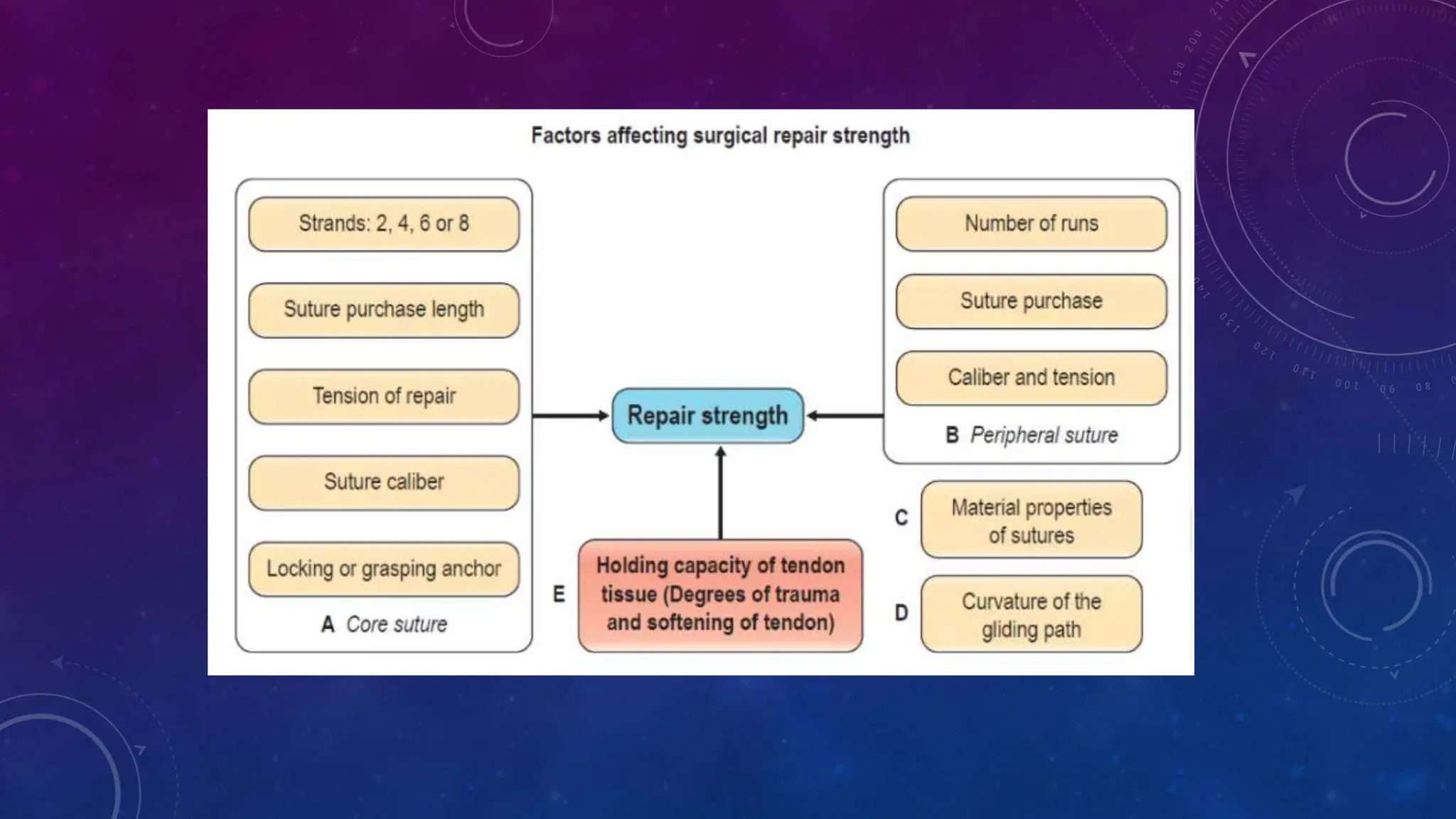 TENDON REPAIR – PRINCIPLES ^0 TYPES-1.pptx
