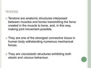 Tendons | PPTX
