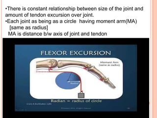 Tendon tranfer | PPTX
