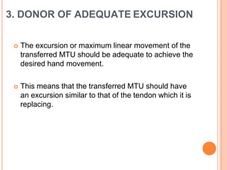 Tendon Tranferfdyfuggjdfdyjvjgdfhgjgj.pdf