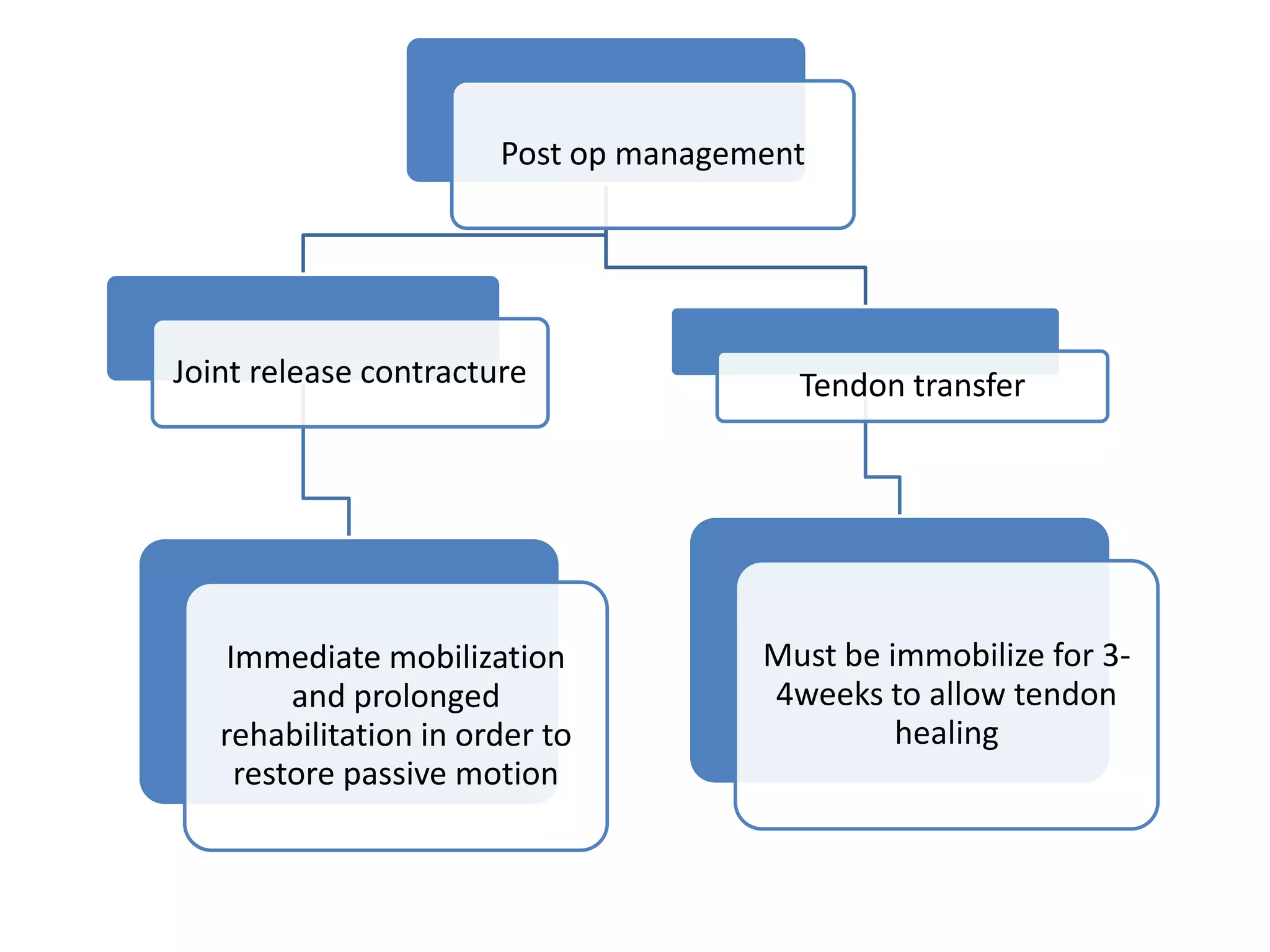 Principles of Tendon transfer and basics of tendon transfer for radial ...