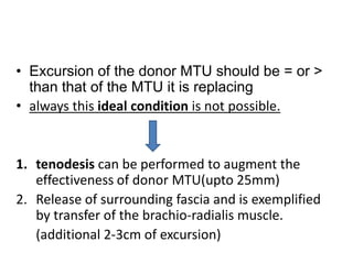 Principles of Tendon transfer and basics of tendon transfer for radial ...