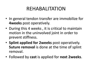 Principles of Tendon transfer and basics of tendon transfer for radial ...