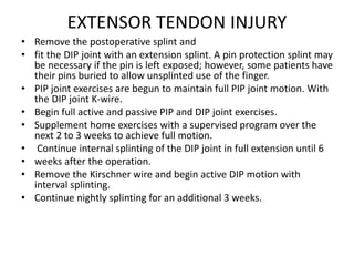 Tendon transfer.pptx