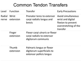 Tendon transfer.pptx
