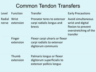 Tendon transfer.pptx