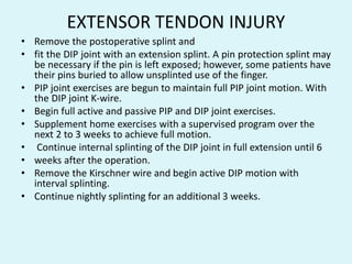Tendon transfer.pptx