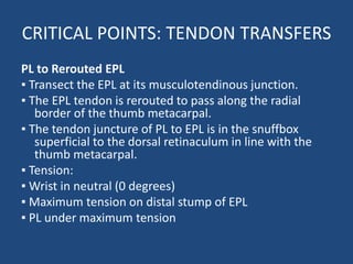 Tendon transfer for radial nerve palsy | PPTX
