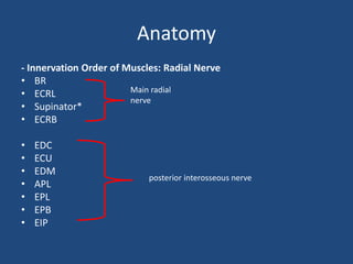 Tendon transfer for radial nerve palsy | PPT