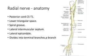 Tendon transfer for Radial nerve Palsy 2 NEW.pptx