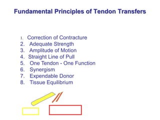 TENDON TRANSFER FOR ULNAR NERVE PALSY ppt | PPTX