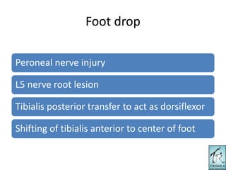 Tendon transfer in neuro-muscular foot | PPTX