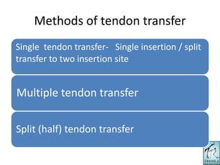 Tendon transfer in neuro-muscular foot | PPT