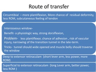 Tendon transfer in neuro-muscular foot | PPTX
