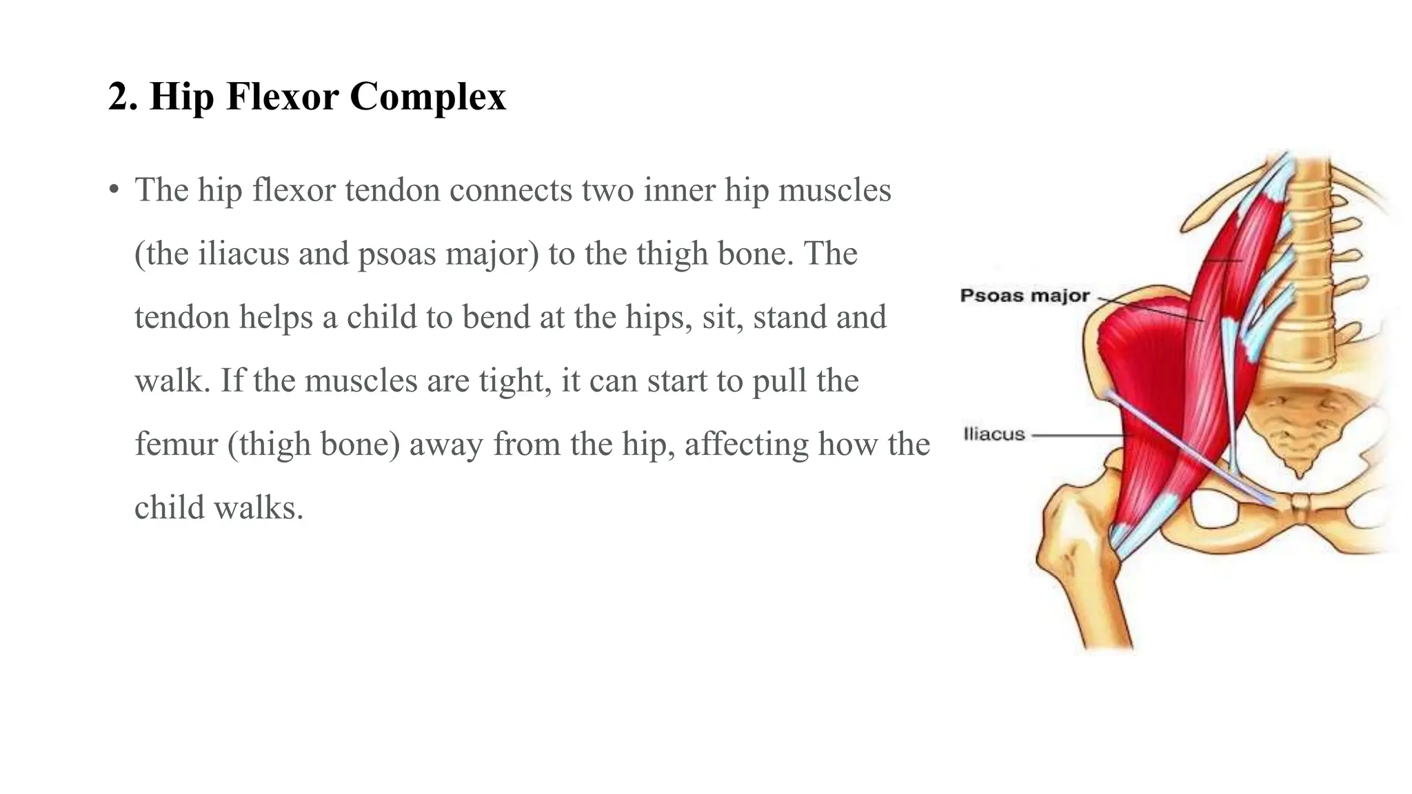 Tendon Transfer or Lengthening for Children with Cerebral.pptx