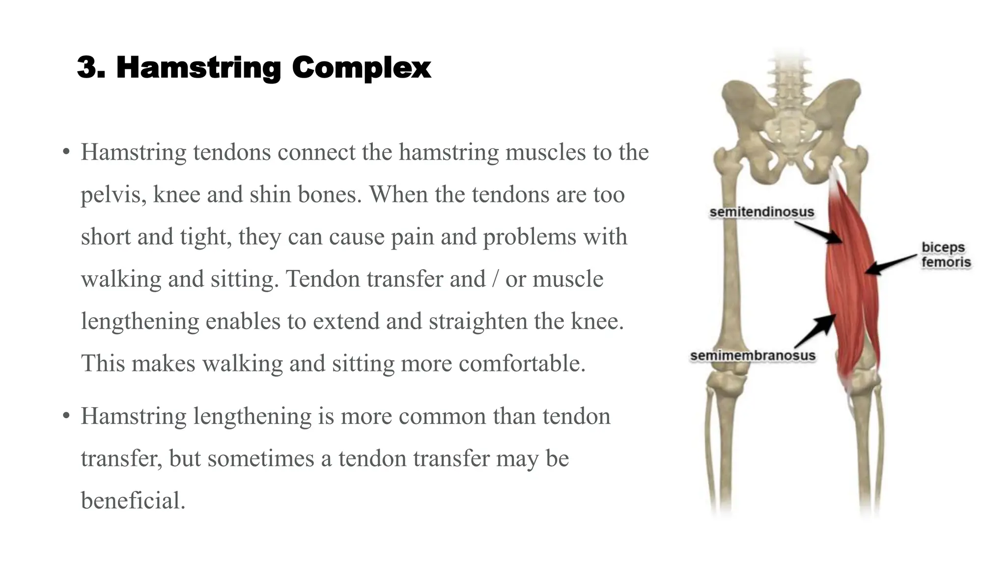 Tendon Transfer or Lengthening for Children with Cerebral.pptx