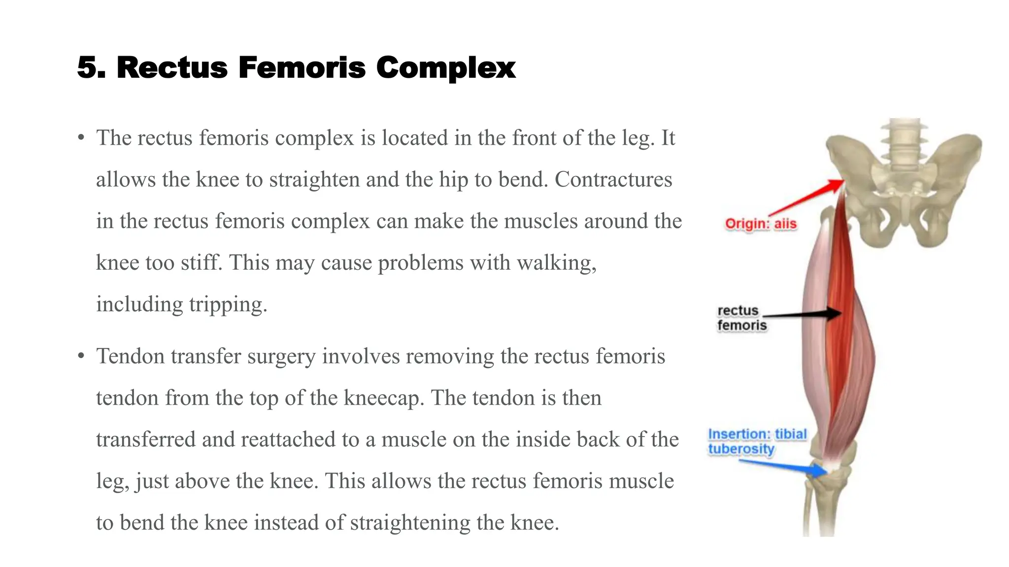 Tendon Transfer or Lengthening for Children with Cerebral.pptx
