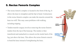 Tendon Transfer or Lengthening for Children with Cerebral.pptx
