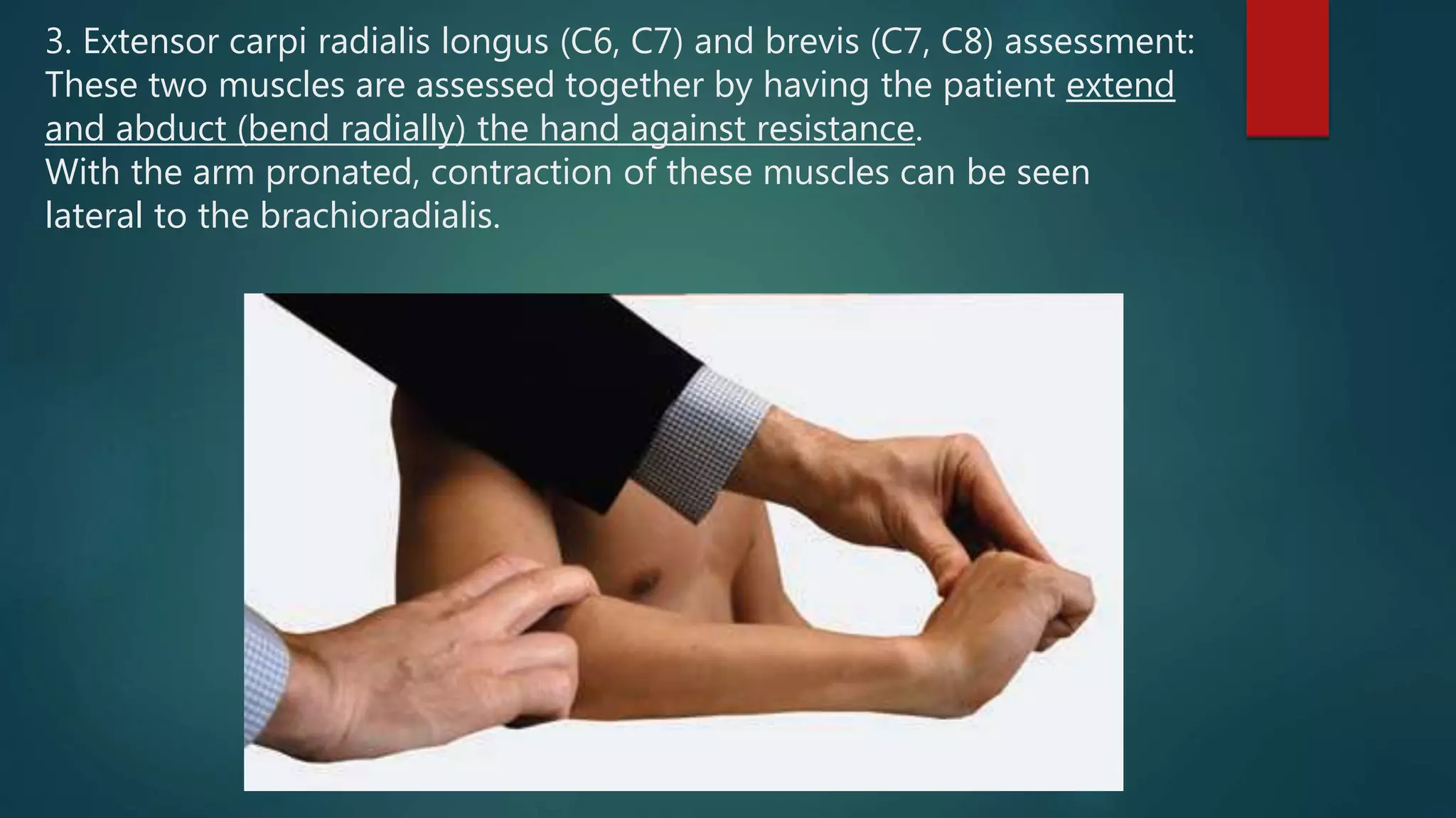 RADIAL NERVE PALSY AND TENDON TRANSFER | PPTX