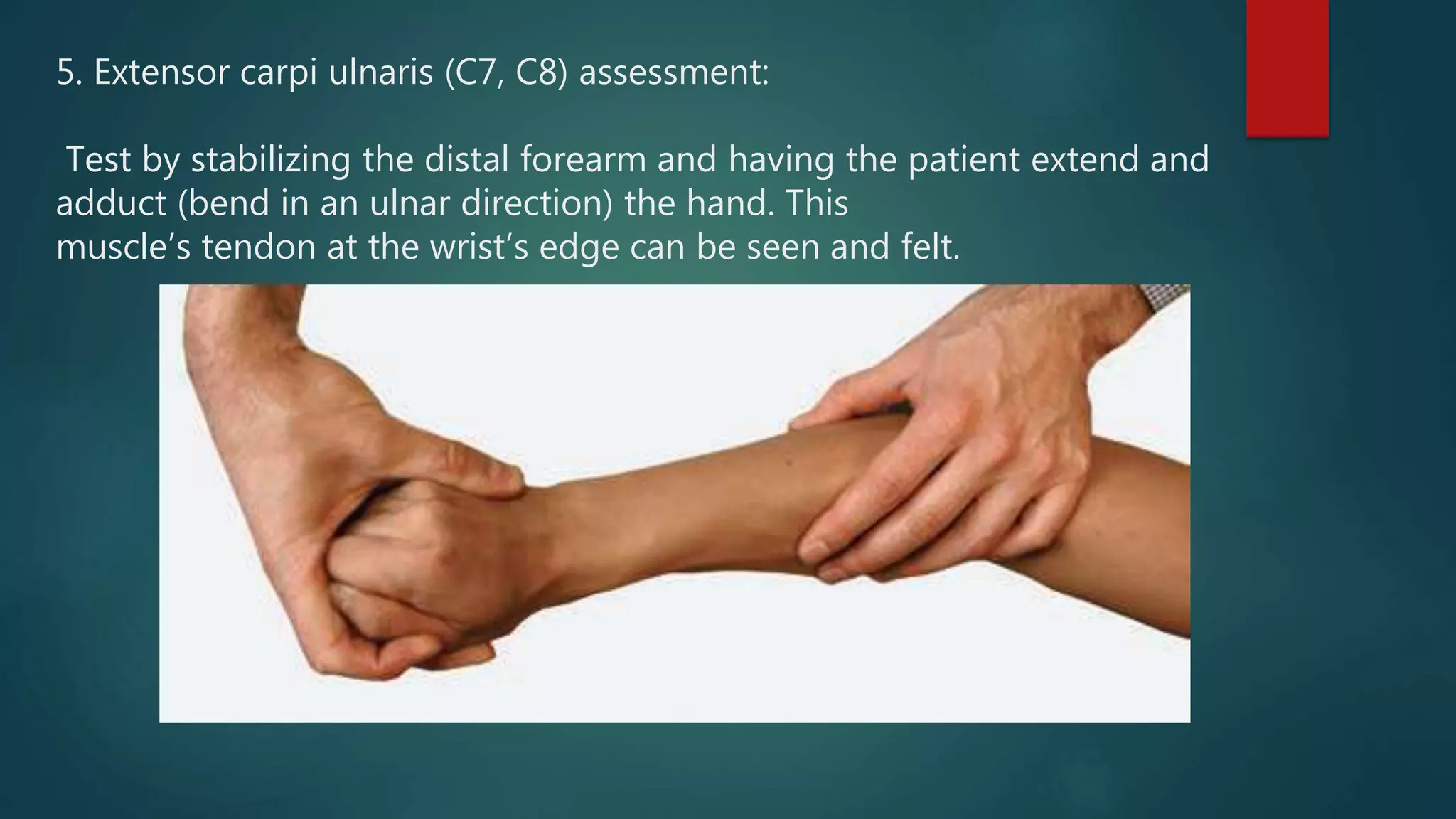 RADIAL NERVE PALSY AND TENDON TRANSFER | PPTX