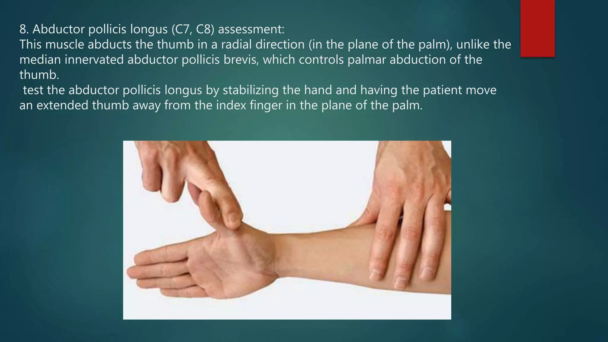 RADIAL NERVE PALSY AND TENDON TRANSFER | PPTX