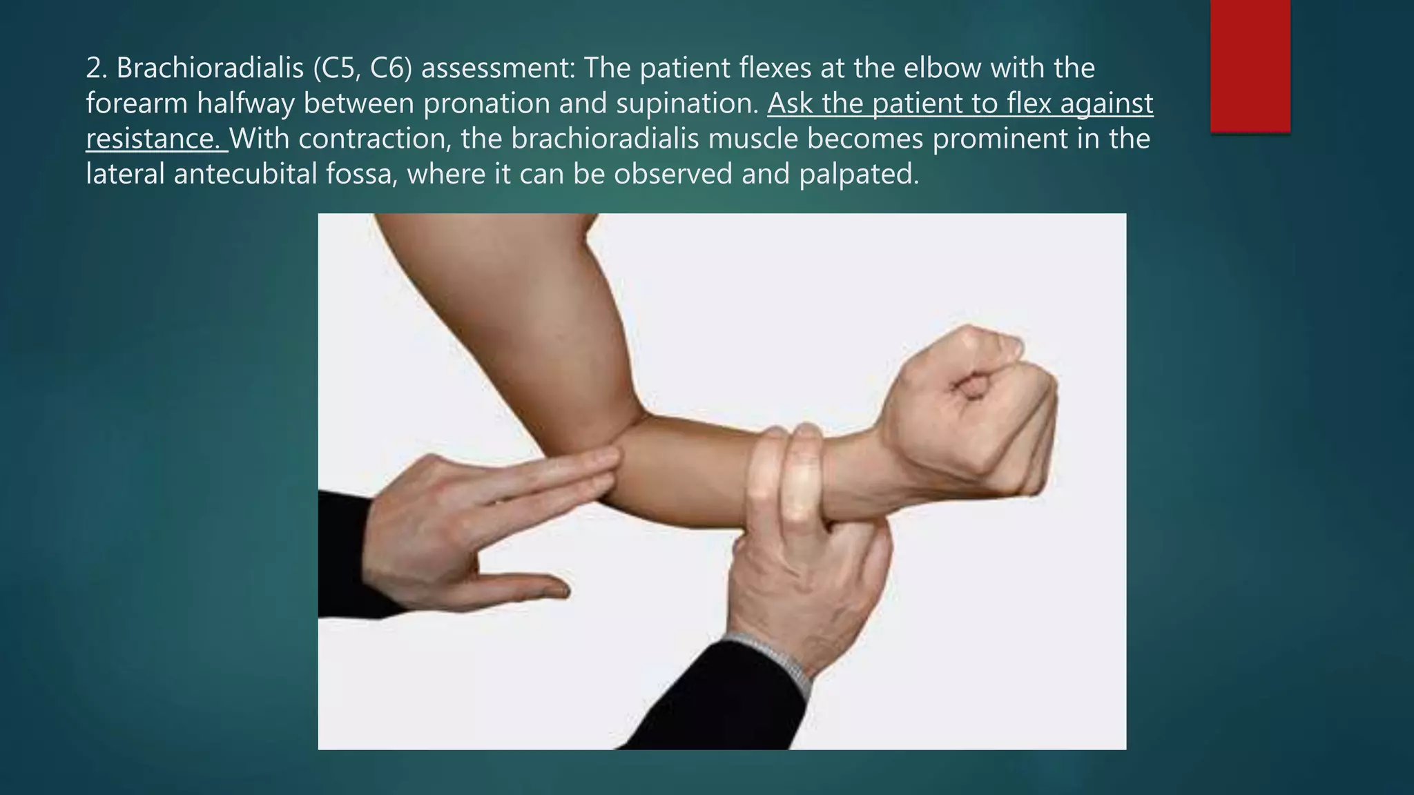 RADIAL NERVE PALSY AND TENDON TRANSFER | PPTX