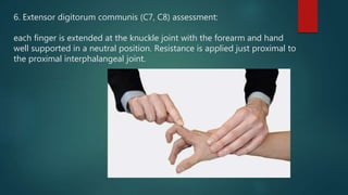 RADIAL NERVE PALSY AND TENDON TRANSFER | PPTX