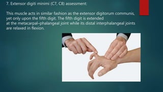 RADIAL NERVE PALSY AND TENDON TRANSFER | PPTX