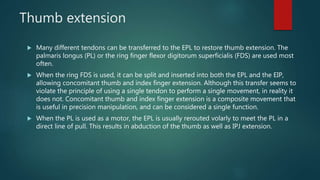 RADIAL NERVE PALSY AND TENDON TRANSFER | PPTX
