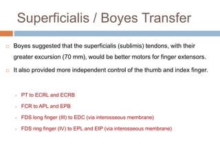 Tendon transfers for radial nerve palsy | PPT