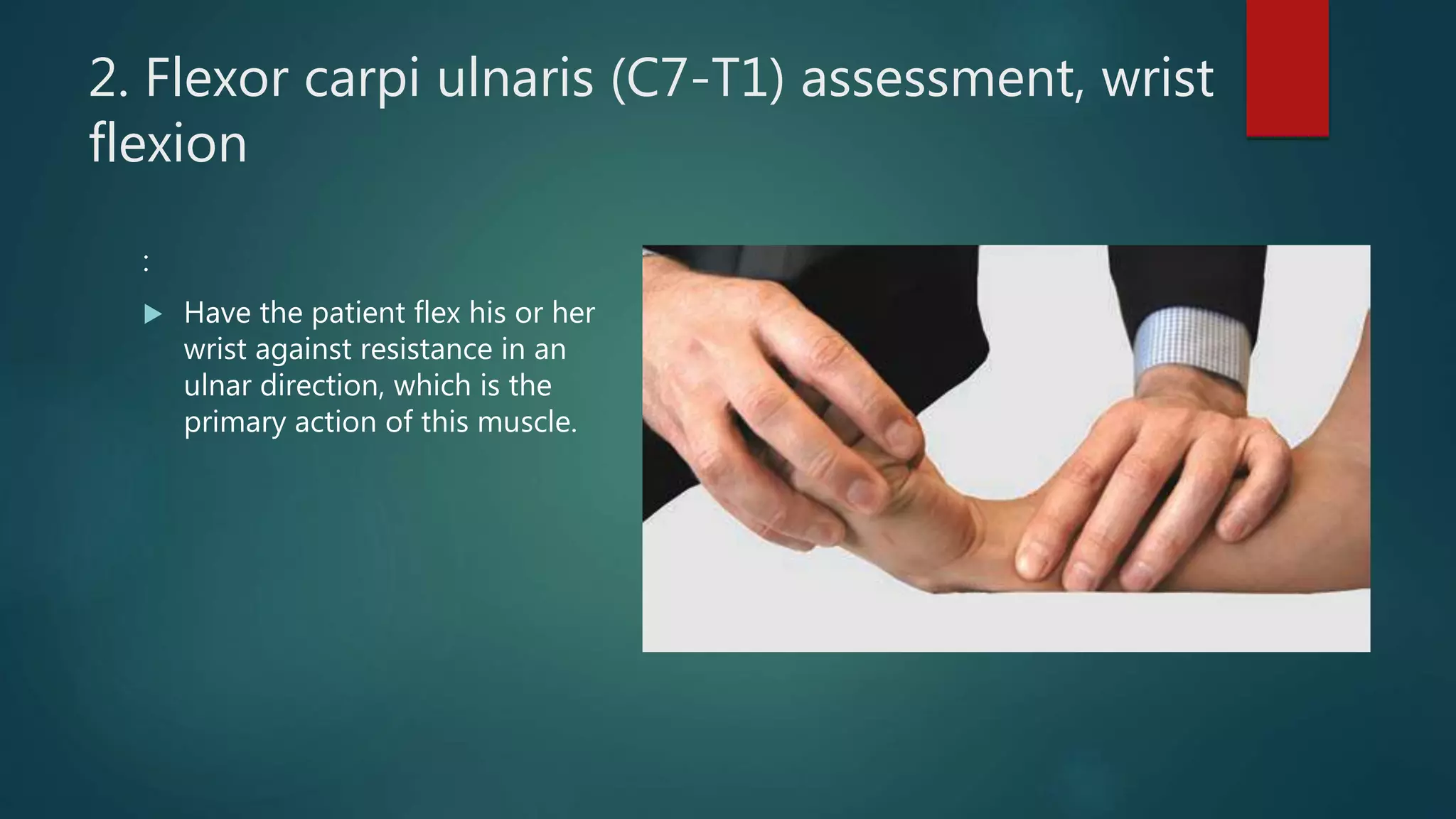 ULNAR NERVE PALSY AND TENDON TRANSFERS | PPTX