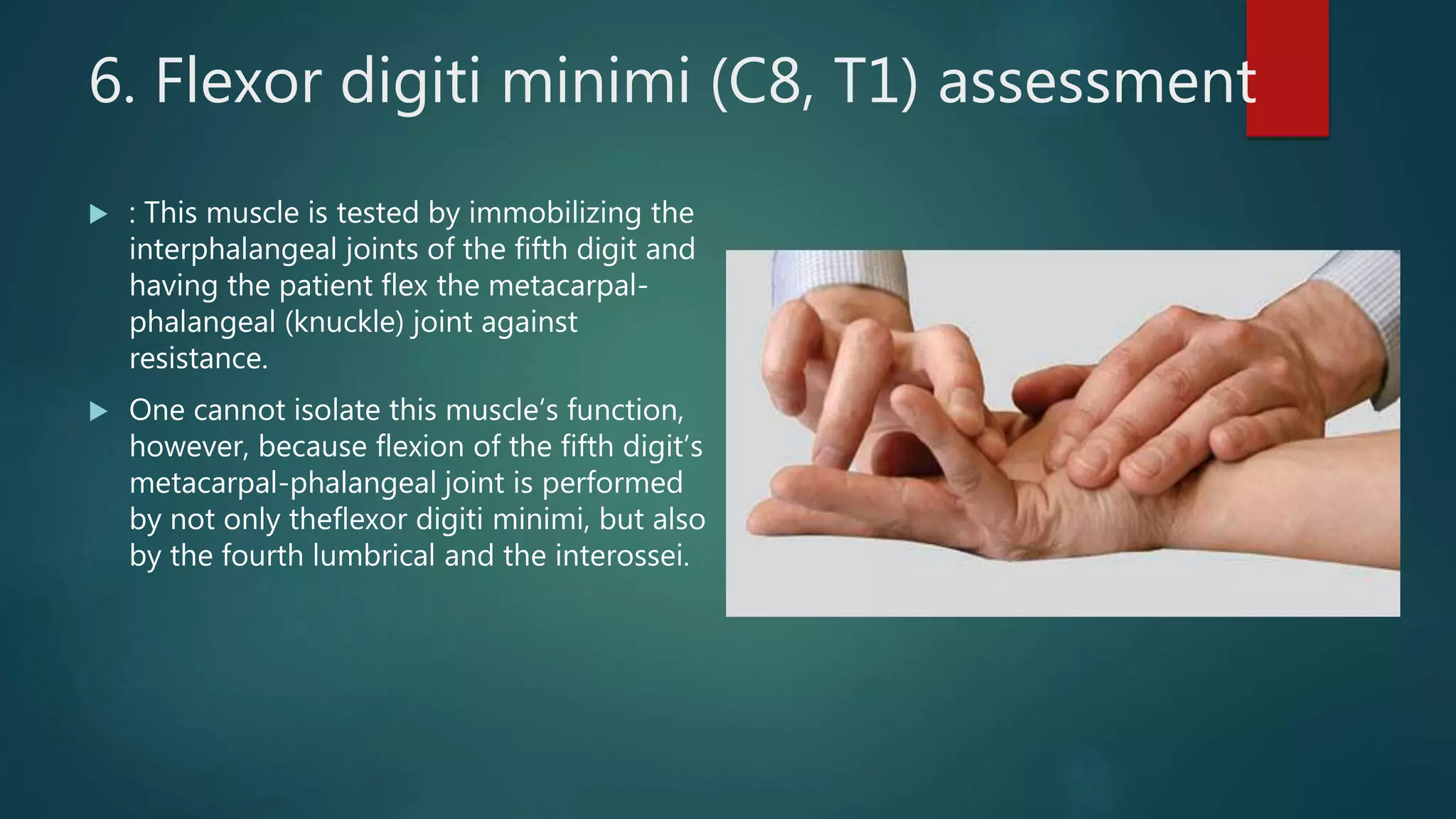 ULNAR NERVE PALSY AND TENDON TRANSFERS | PPTX