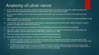 ULNAR NERVE PALSY AND TENDON TRANSFERS | PPTX
