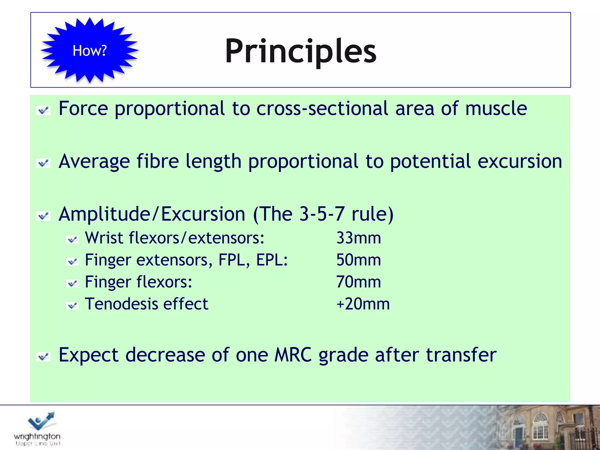 Tendon transfers in hand | PPTX