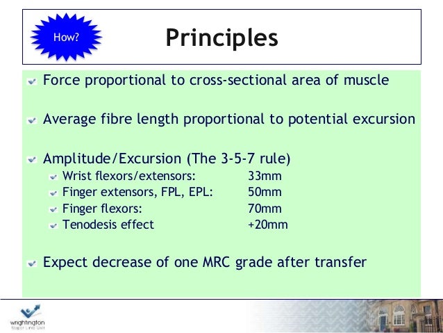 Tendon transfers in hand