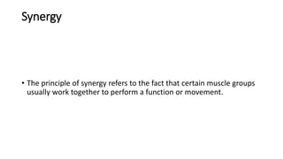 Principles of Transfer and Transfers for Radial Nerve Palsy | PPTX